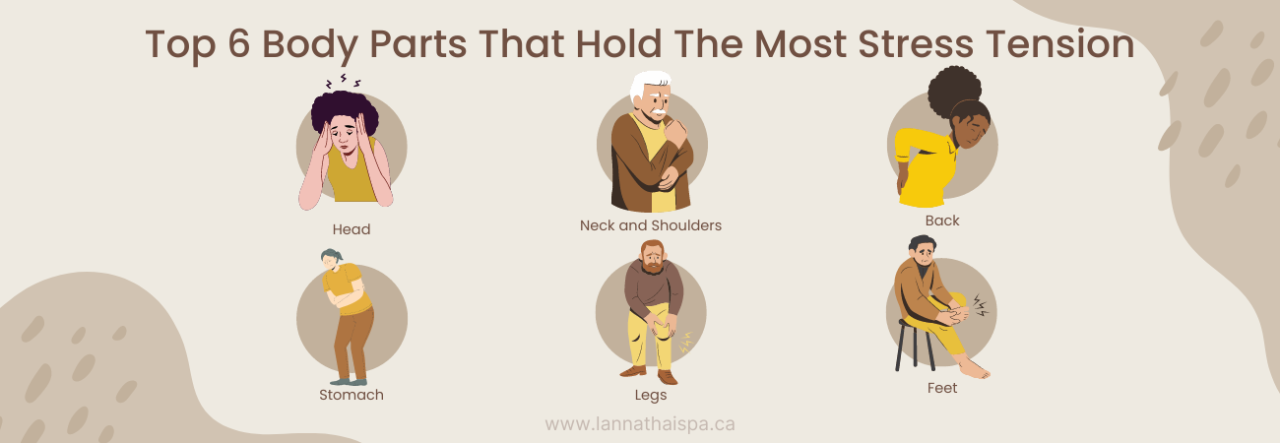 Top 6 Body Parts That Hold The Most Stress Tension - Lanna Thai Spa